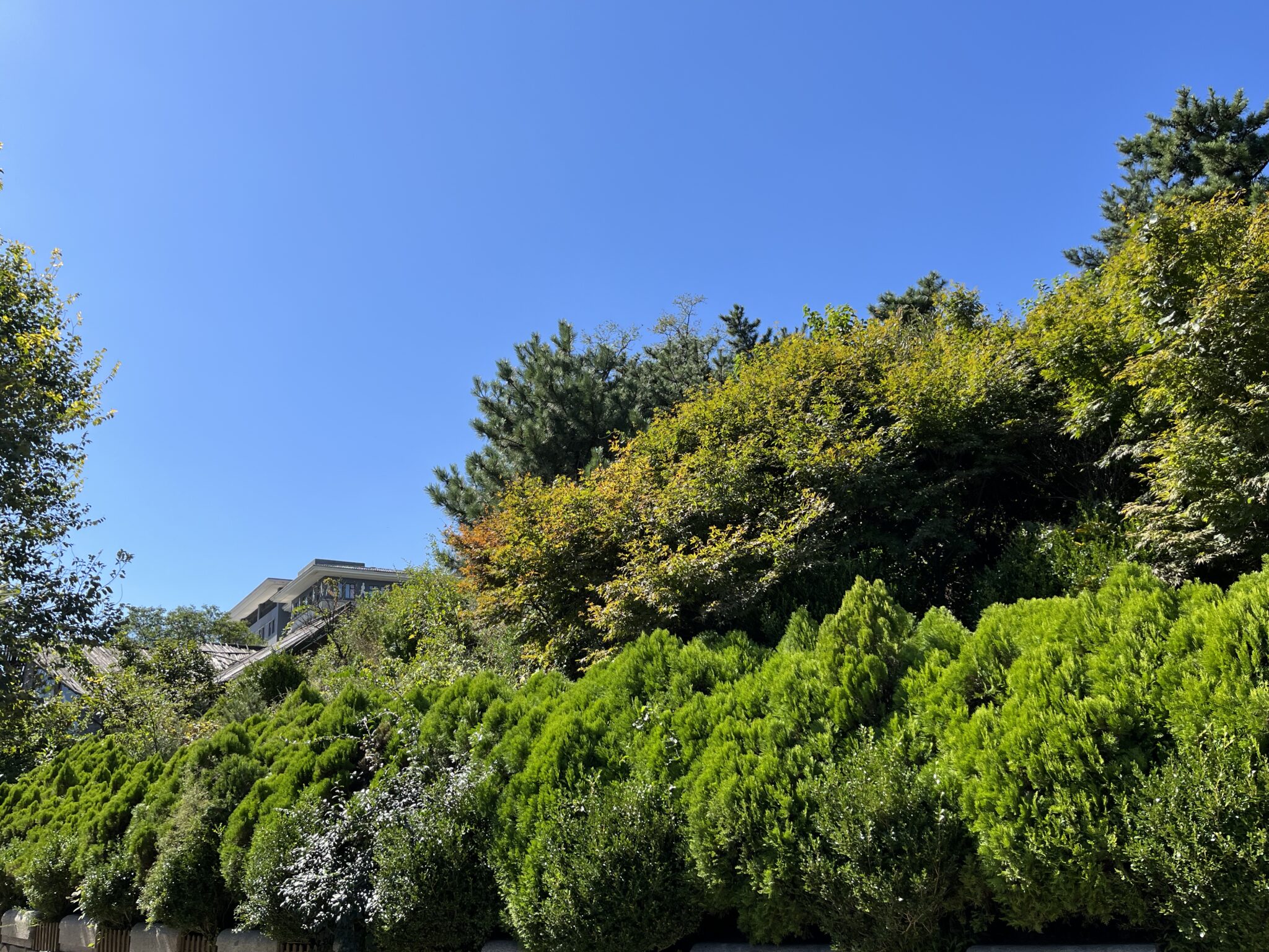 Chen Zhonghua Taiji Academy Phone: 780-413-0454 — Chen Taiji Practical ...