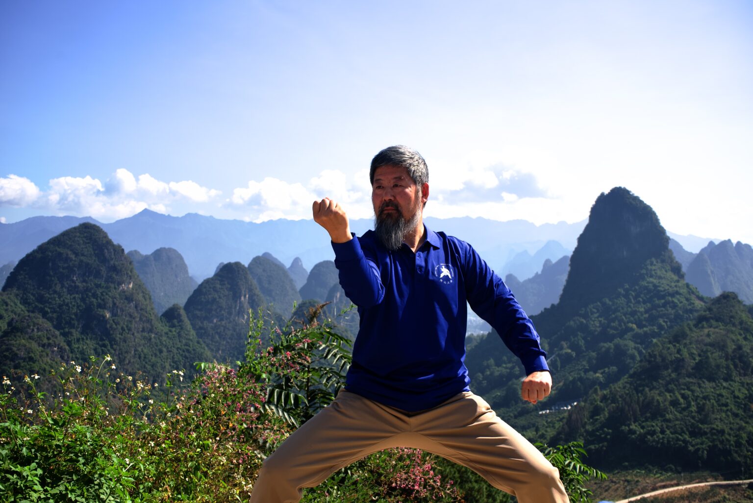 Chen Zhonghua Taiji Academy Phone: 780-413-0454 — Chen Taiji Practical ...