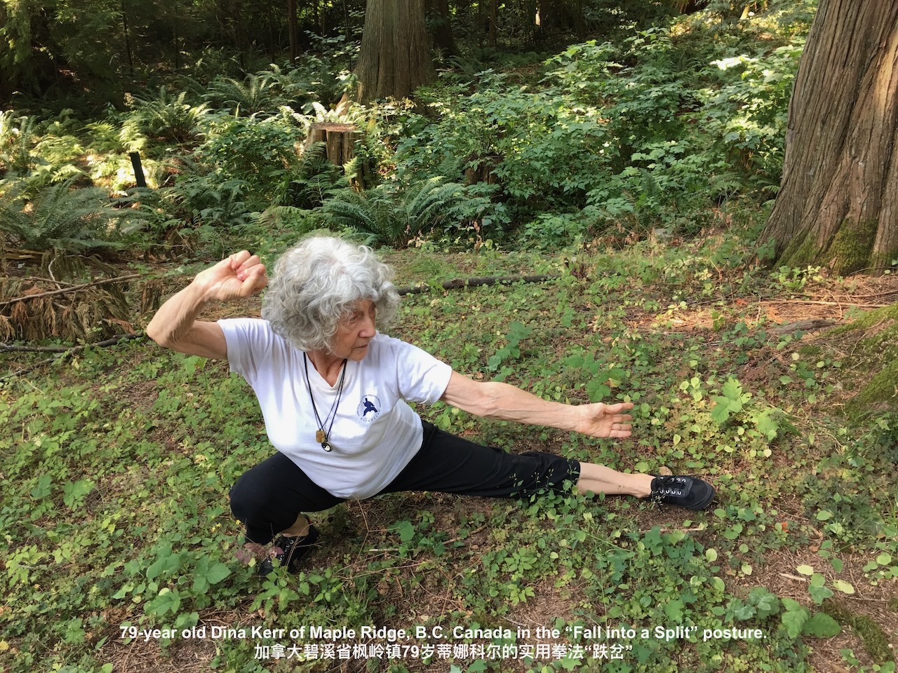In Memory of Dina Kerr 2026 — Chen Zhonghua Taiji