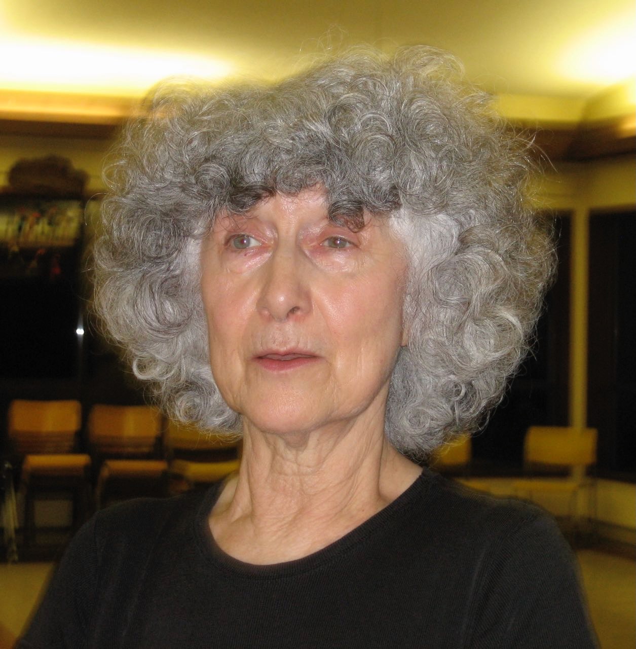 In Memory of Dina Kerr 2026 — Chen Zhonghua Taiji