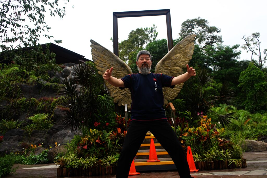 Singapore Bird Paradise 20231201 — Chen Zhonghua Taiji