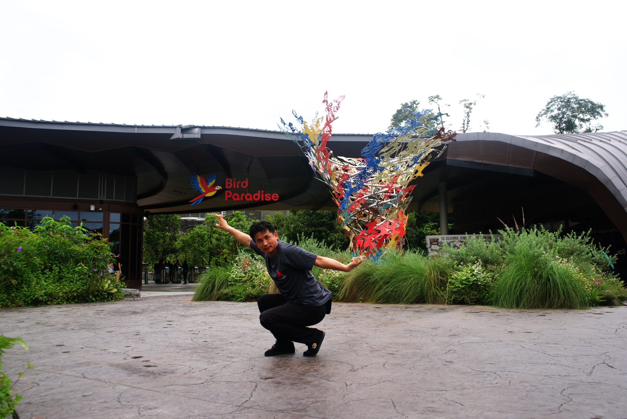 Singapore Bird Paradise 20231201 — Chen Zhonghua Taiji