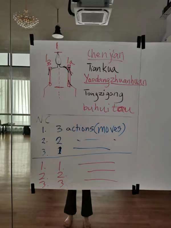 Singapore Practical Method Workshop Photos 20231202 — Chen Zhonghua Taiji