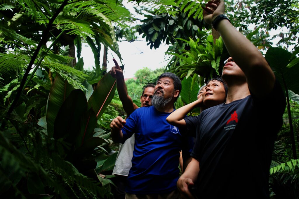 A Visit to An Indonesia Tropical House 20231128 — Chen Zhonghua Taiji