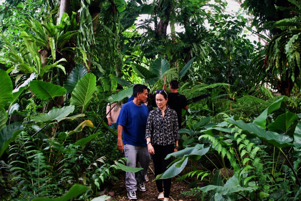 A Visit to An Indonesia Tropical House 20231128 — Chen Zhonghua Taiji