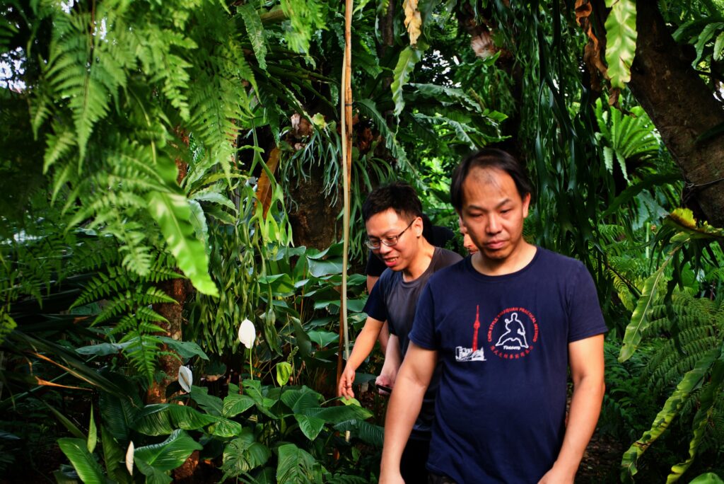 A Visit to An Indonesia Tropical House 20231128 — Chen Zhonghua Taiji